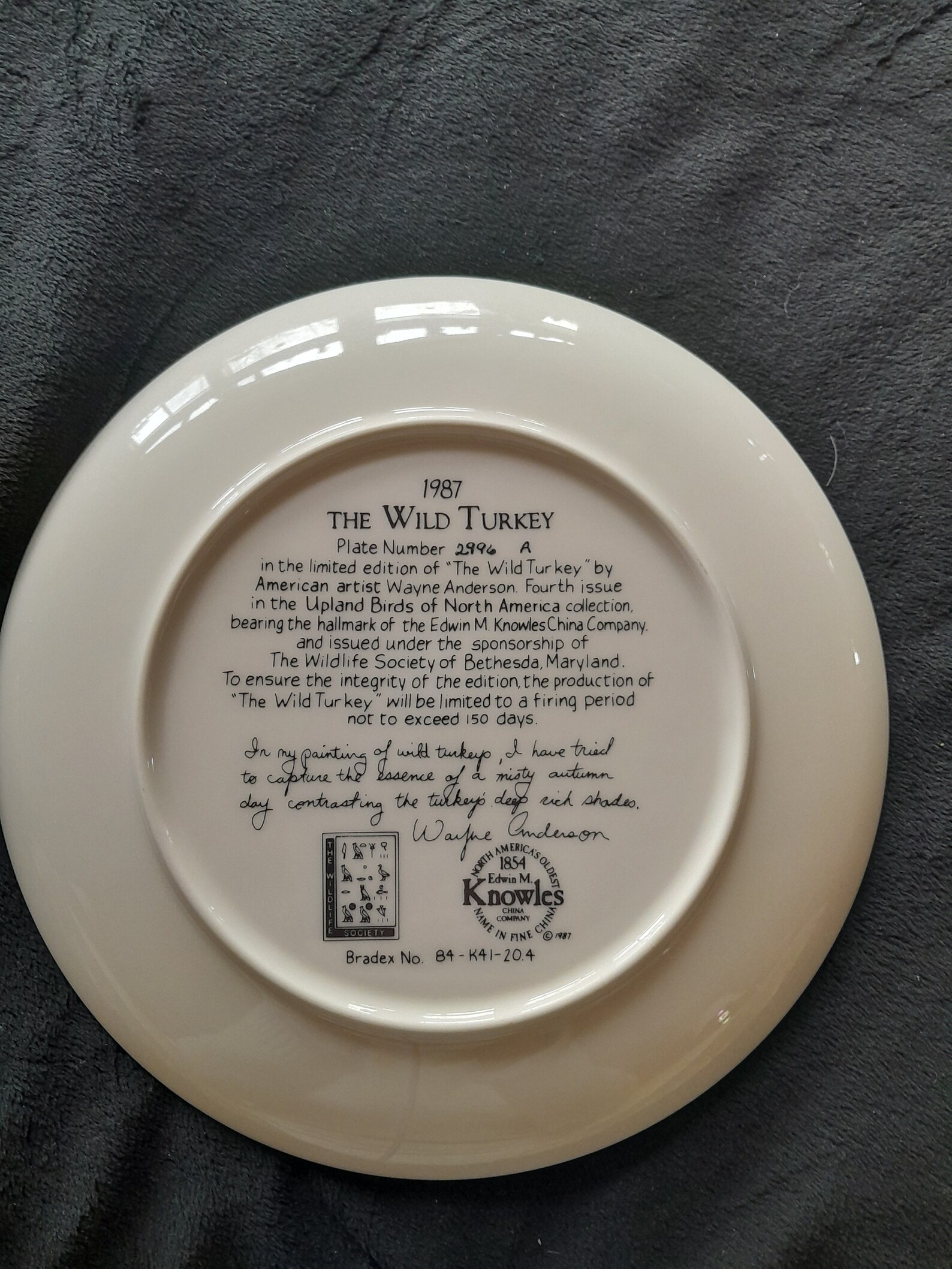 Wild Turkey Collector Plate - Etsy