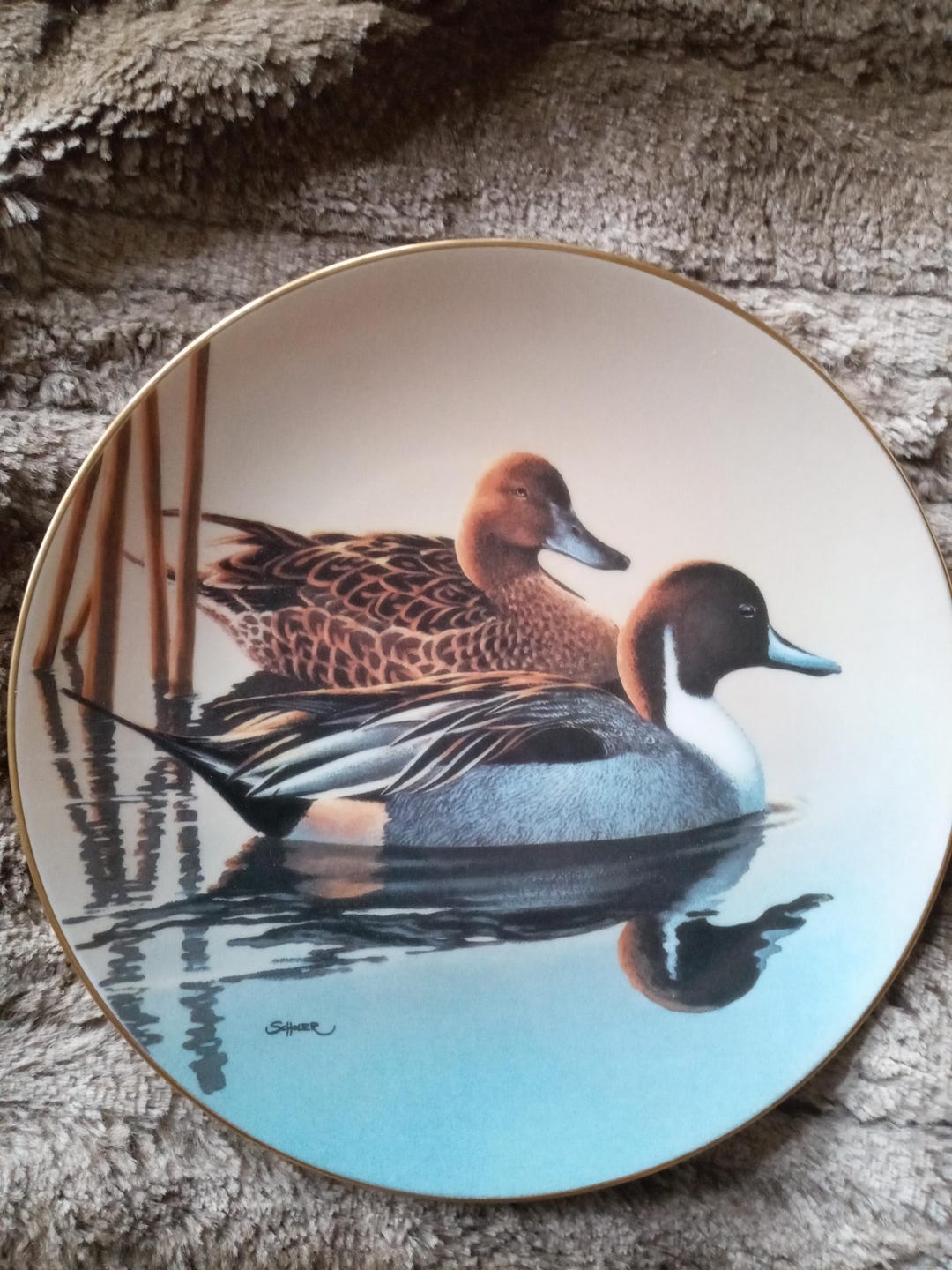 Pintail Created by the 1983-84 Federal Duck Stamp Competition Winner - Etsy