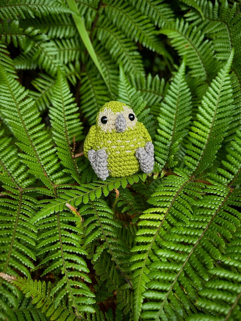 NZ Kākāpō Crochet Pattern: Amigurumi Parrot Plushie (PDF Pattern) - Etsy