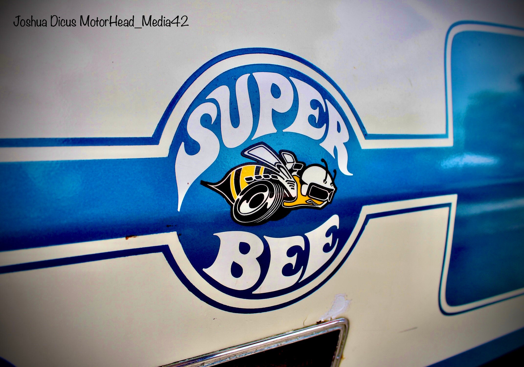Super Bee Logo - Etsy