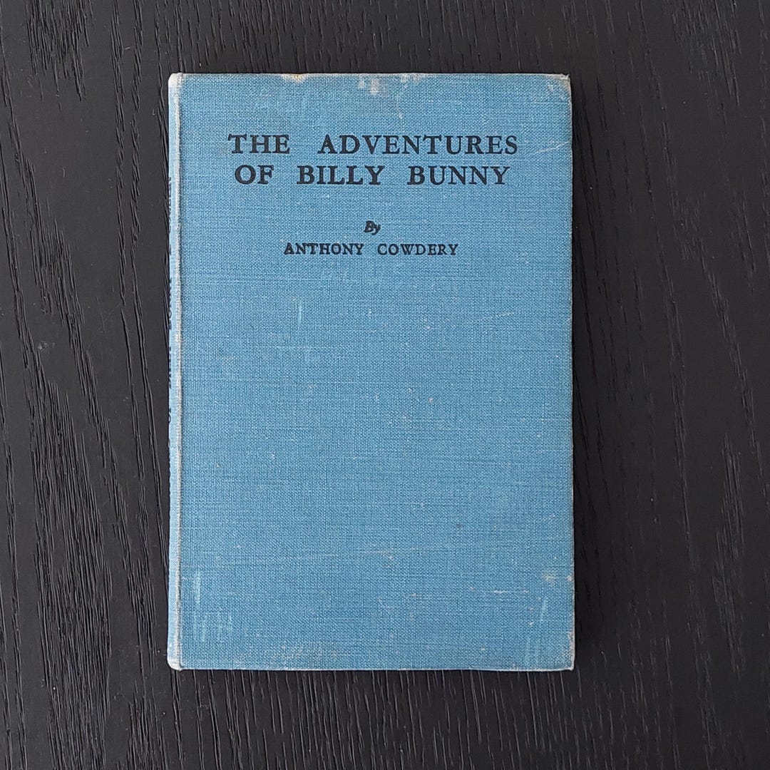 Vintage 1950's "the Adventures of Bill Bunny" by Anthony Cowdery ...