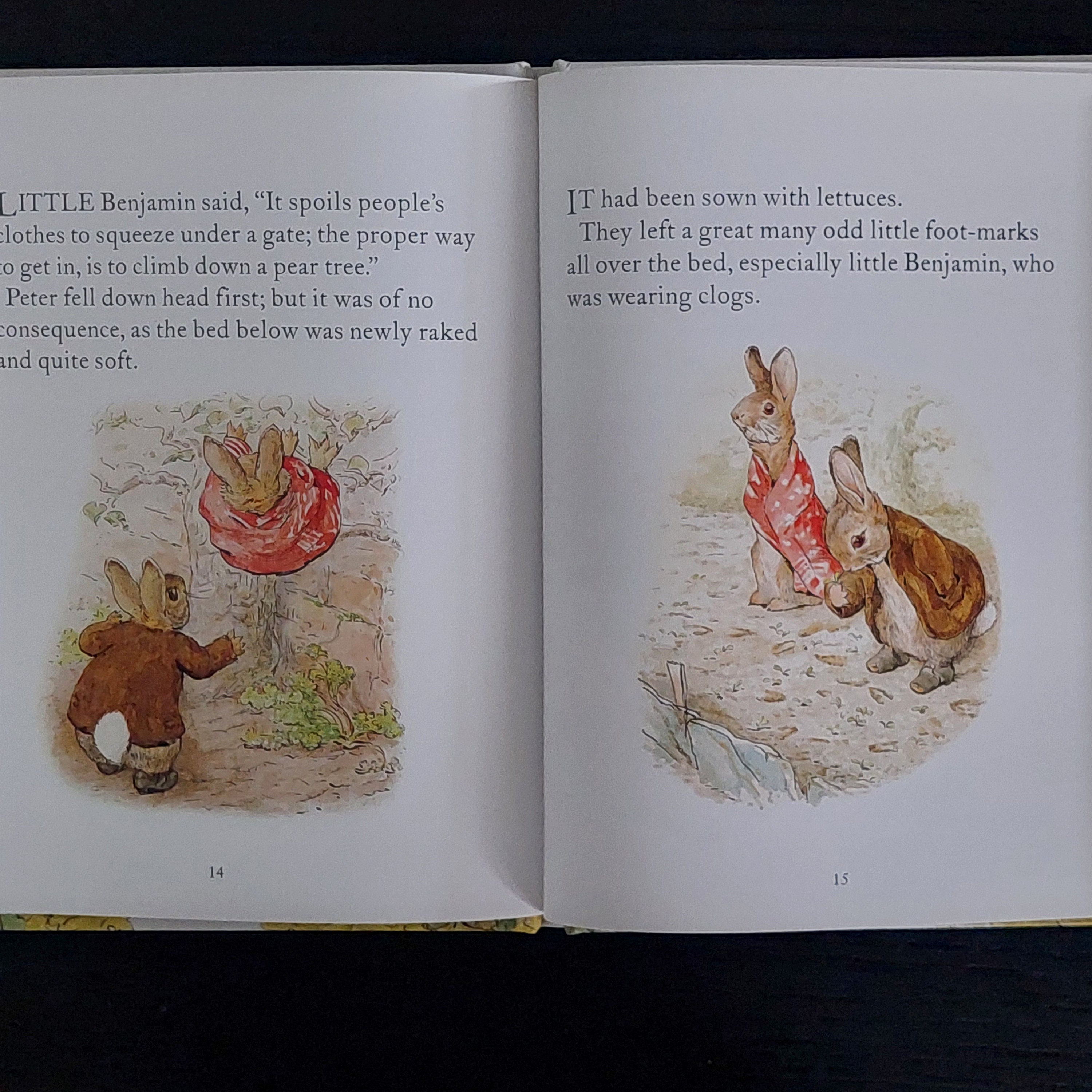 Beatrix Potter, Peter Rabbit, Collection of 4 Hard Cover Books, Vintage ...