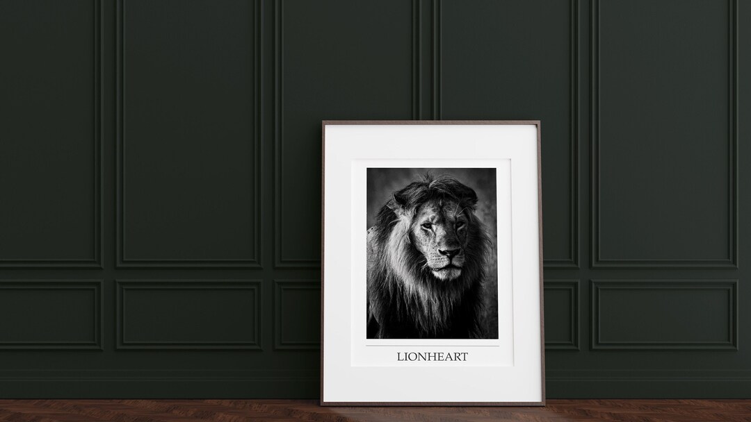 Lionheart Lion Photography Print Wall Art Poster African Wildlife ...