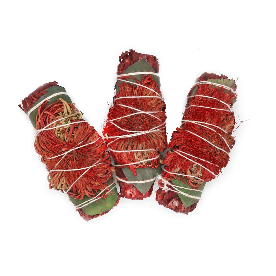 3 Pack 4 Inch Dragons Blood Sage With Jericho Flower Smudge Sticks ...
