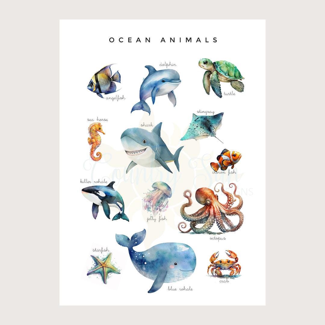 Animal Posters, Farm Animals, Wild Animals, Ocean Animals, Bundle ...