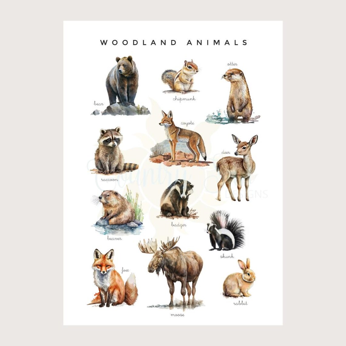 Animal Posters, Farm Animals, Wild Animals, Ocean Animals, Bundle ...