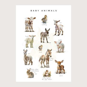 Animal Posters, Farm Animals, Wild Animals, Ocean Animals, Bundle ...