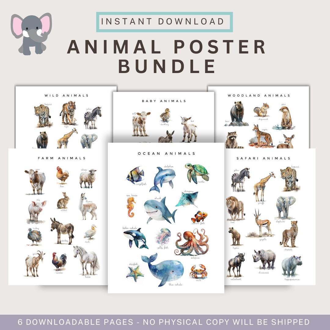 Animal Posters, Farm Animals, Wild Animals, Ocean Animals, Bundle ...