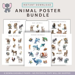 Animal Posters, Farm Animals, Wild Animals, Ocean Animals, Bundle ...