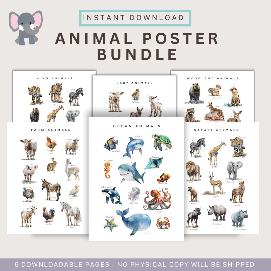 Animal Posters, Farm Animals, Wild Animals, Ocean Animals, Bundle ...