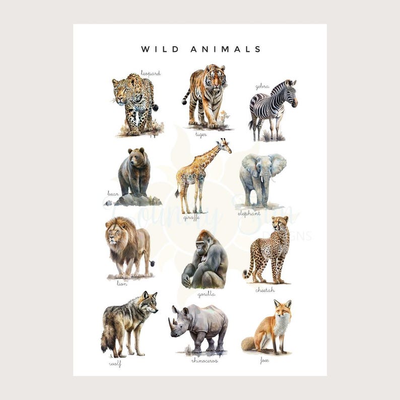 Animal Posters, Farm Animals, Wild Animals, Ocean Animals, Bundle ...