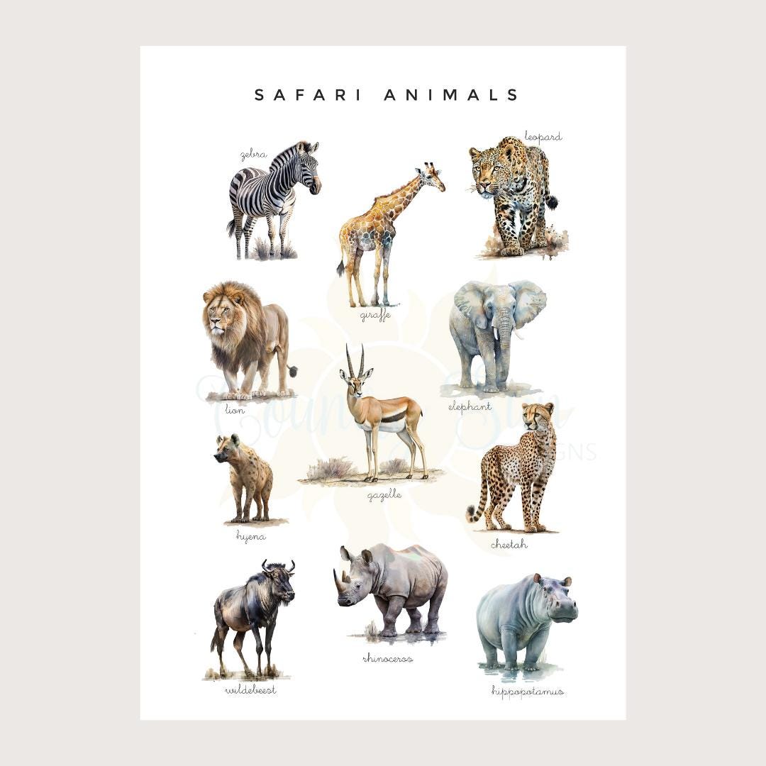 Animal Posters, Farm Animals, Wild Animals, Ocean Animals, Bundle ...