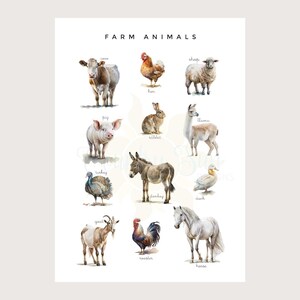Animal Posters, Farm Animals, Wild Animals, Ocean Animals, Bundle ...