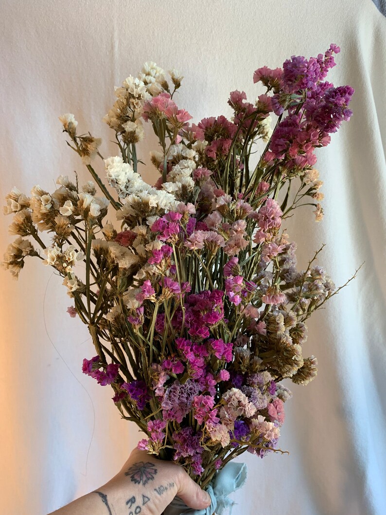 Dried Statice various Colour - Etsy