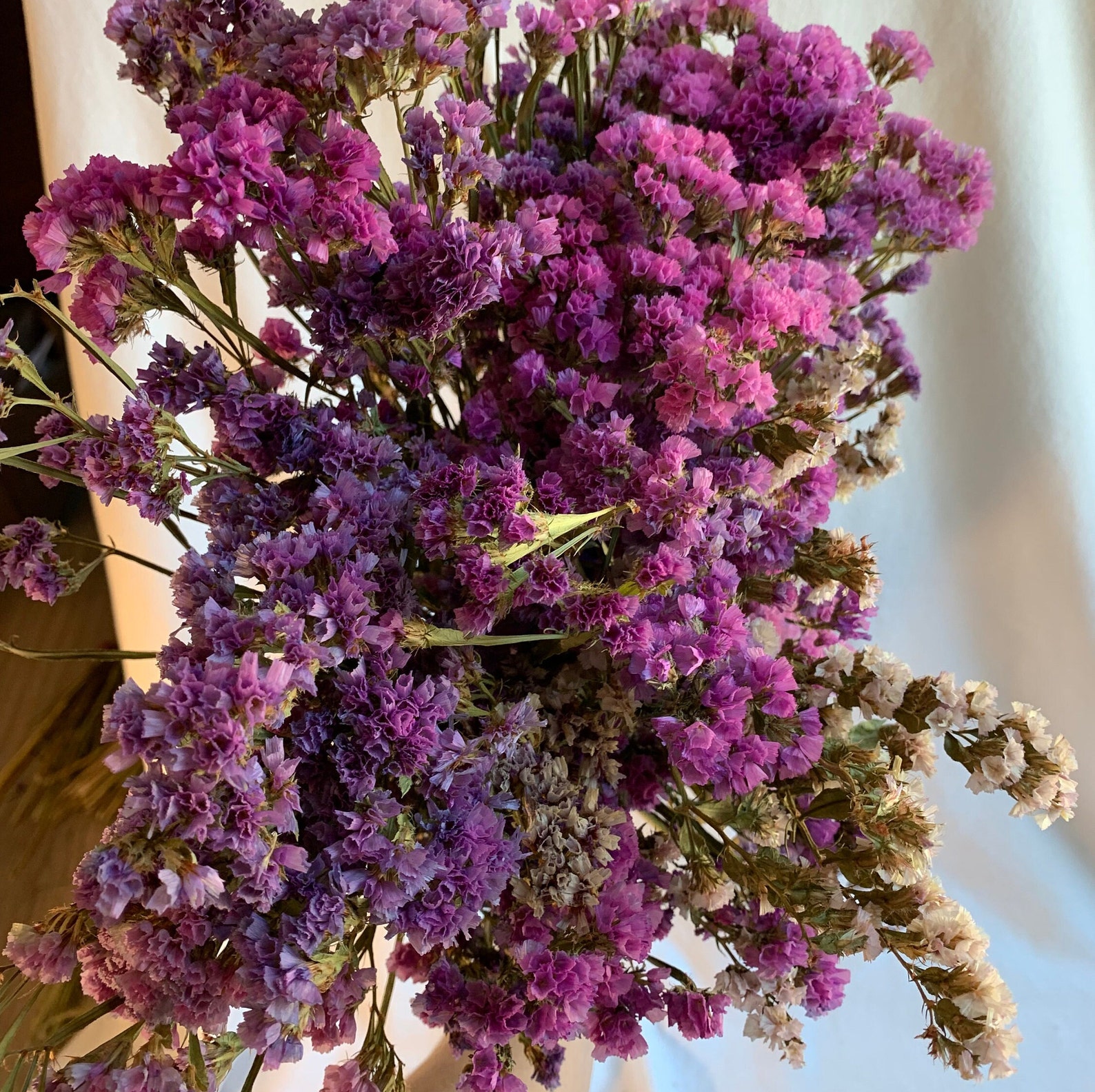 Dried Statice various Colour - Etsy