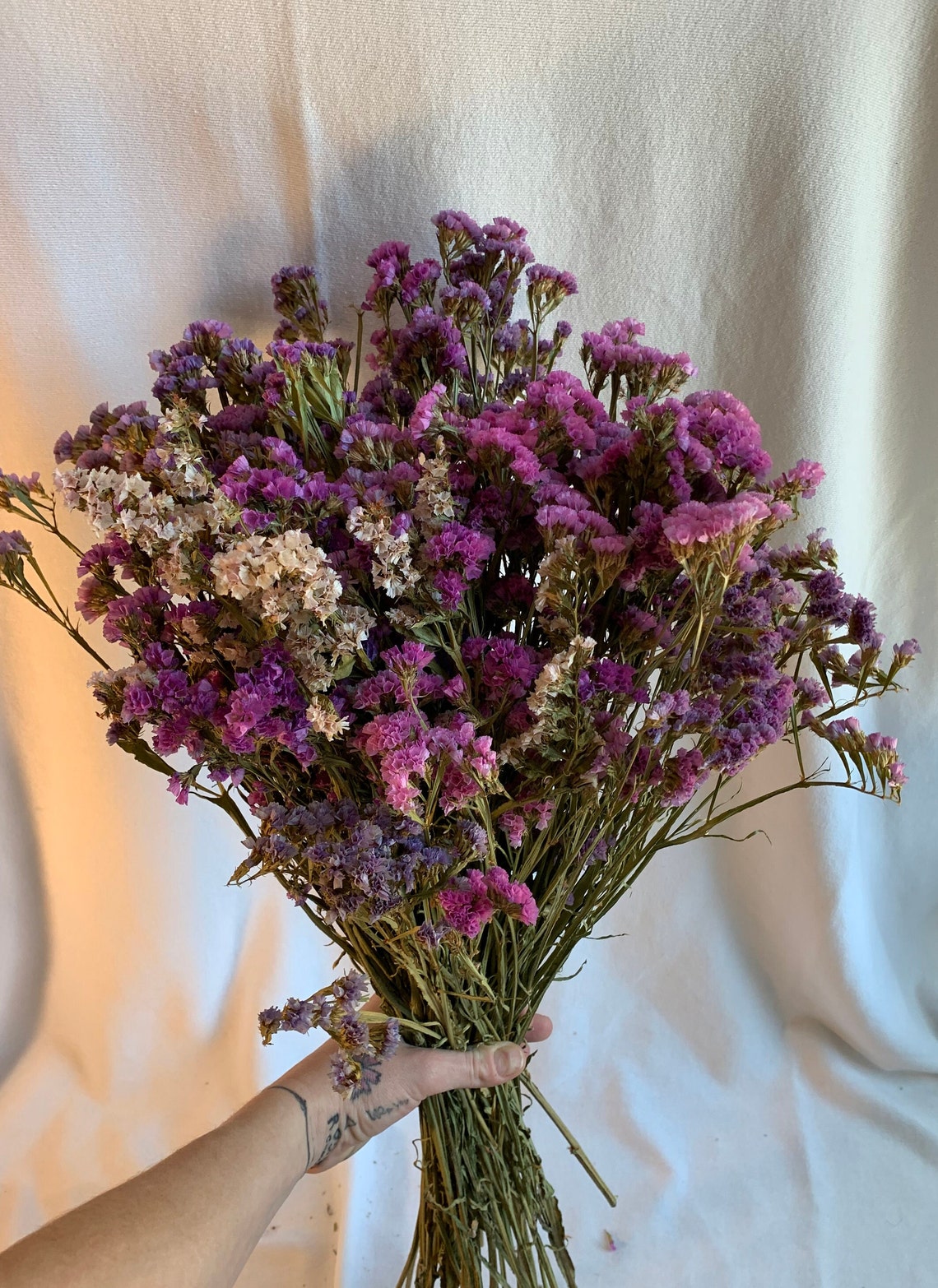 Dried Statice various Colour - Etsy