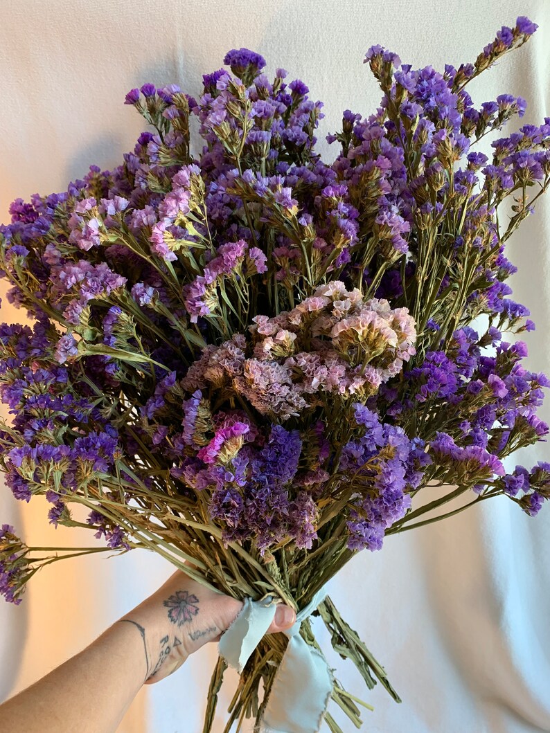 Dried Statice various Colour - Etsy