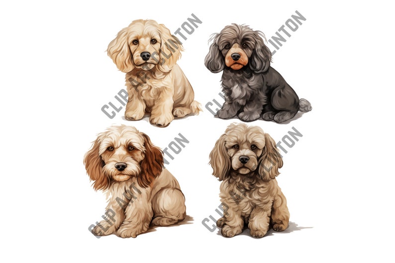Cockapoo Clipart Set 16 Adorable PNG Images for Crafting, Dog Lovers ...