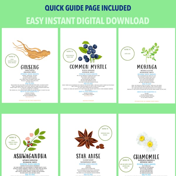 Herb Uses Guide - Etsy