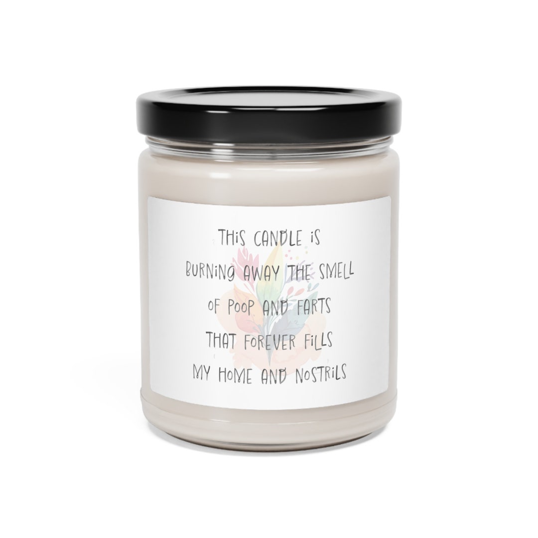 Poop and Farts Funny Scented Soy Candle, 9oz - Etsy