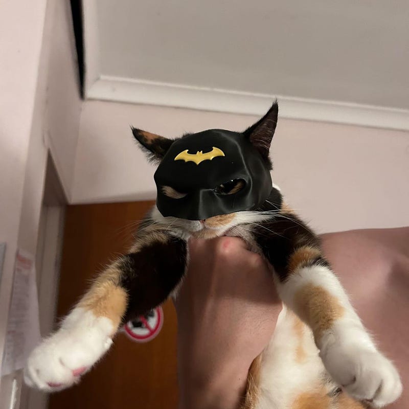 Cat Mask - Etsy