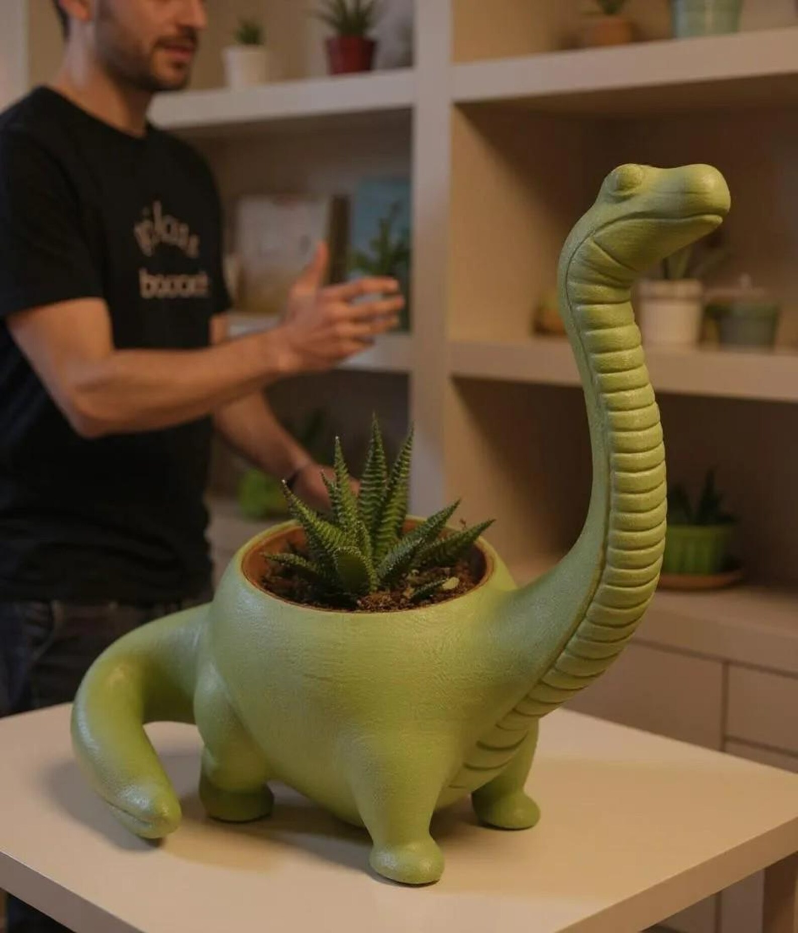 Dinosaur Planter – 3D Printed Desk Planter for Succulents | Home Décor ...