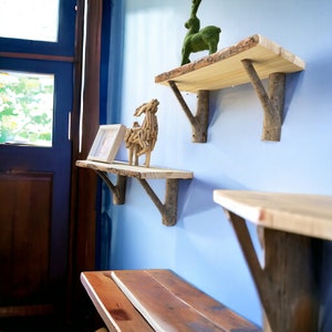 Rustic Solid Wood Log Shelves, Natural Style Copped Log Shelving ...