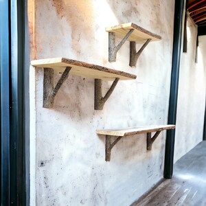 Rustic Solid Wood Log Shelves, Natural Style Copped Log Shelving ...