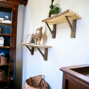 Rustic Solid Wood Log Shelves, Natural Style Copped Log Shelving ...