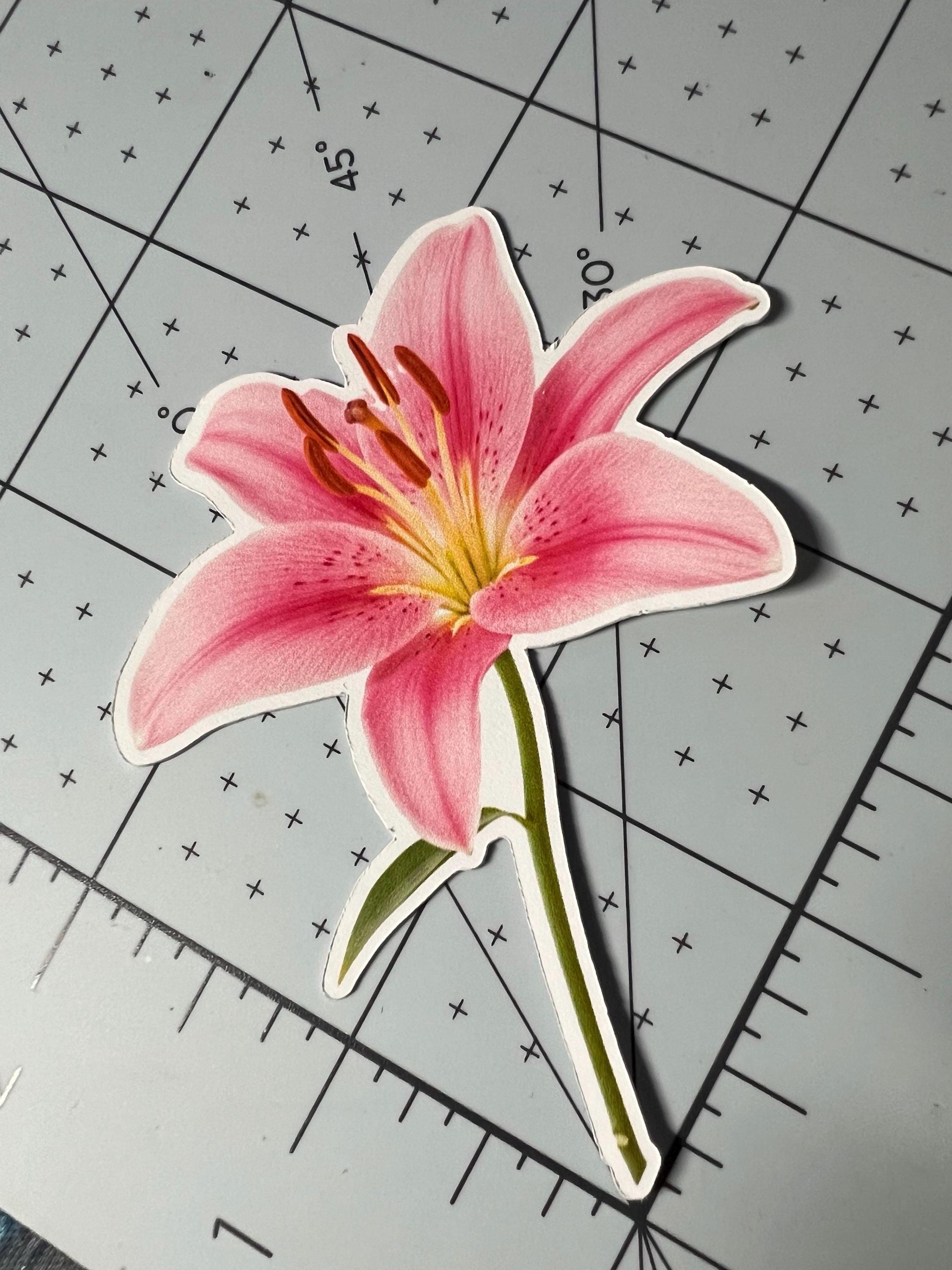 Pink Tigerlily Flower Sticker: Waterproof Laptop/water Bottle Decal - Etsy