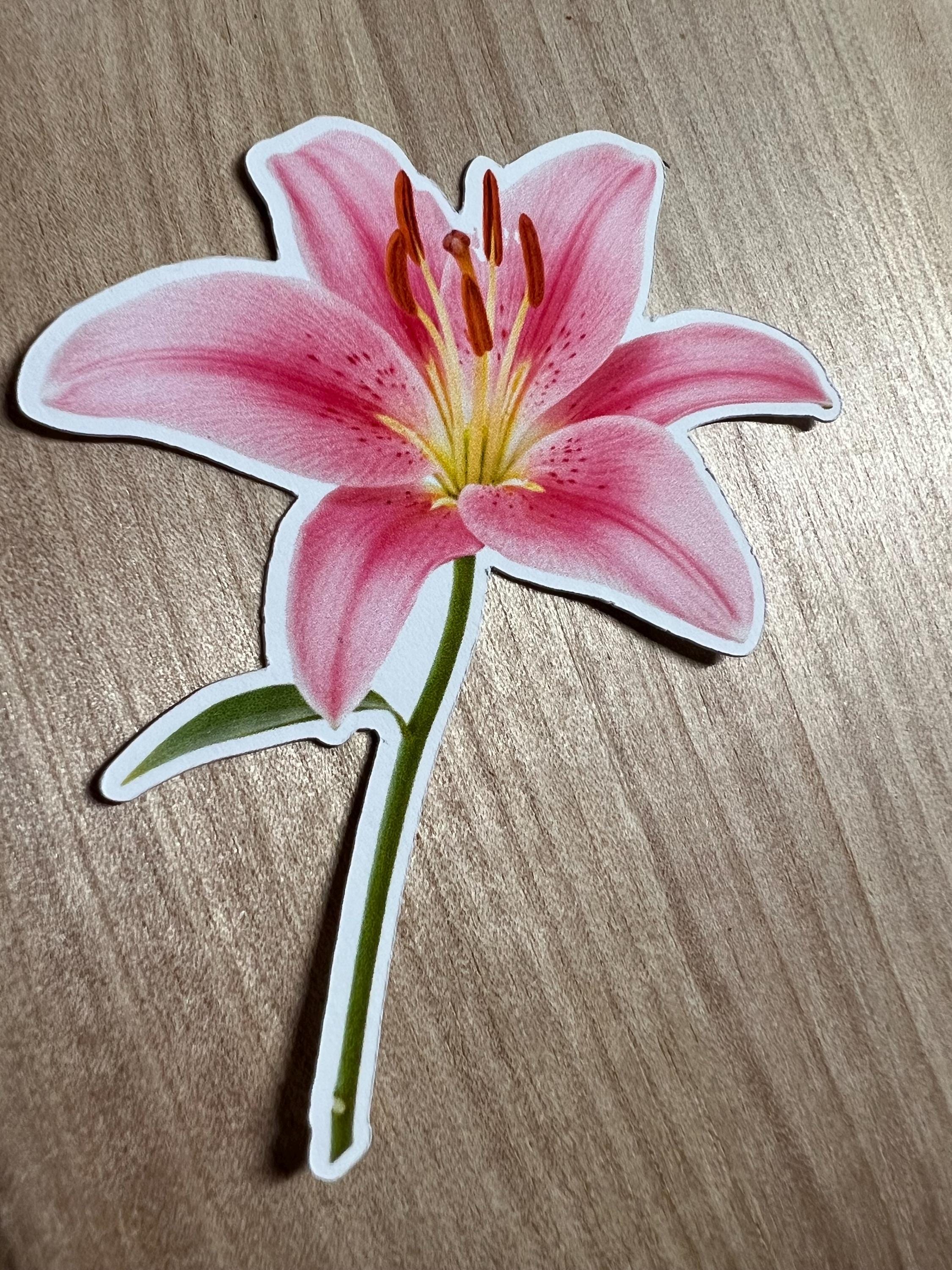 Pink Tigerlily Flower Sticker: Waterproof Laptop/water Bottle Decal - Etsy