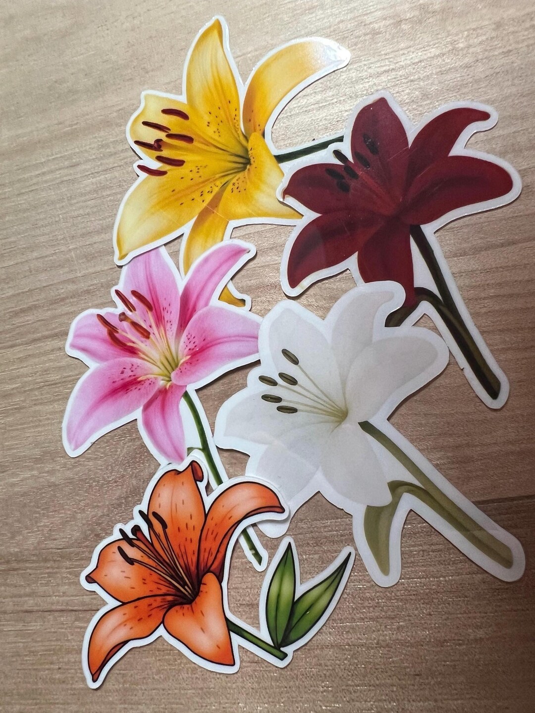 Tigerlily Flower Sticker Bundle: Orange, Pink & White Waterproof Decals ...