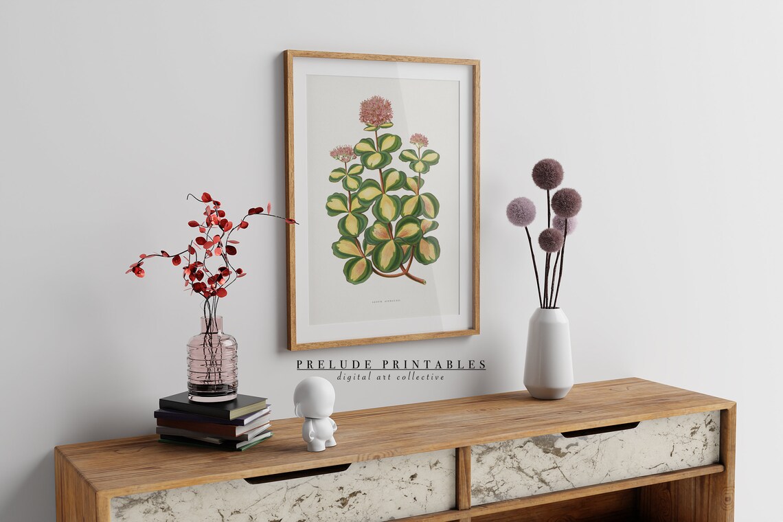Printable Botanical Poster Edward Joseph Lowe Illustration Digital ...