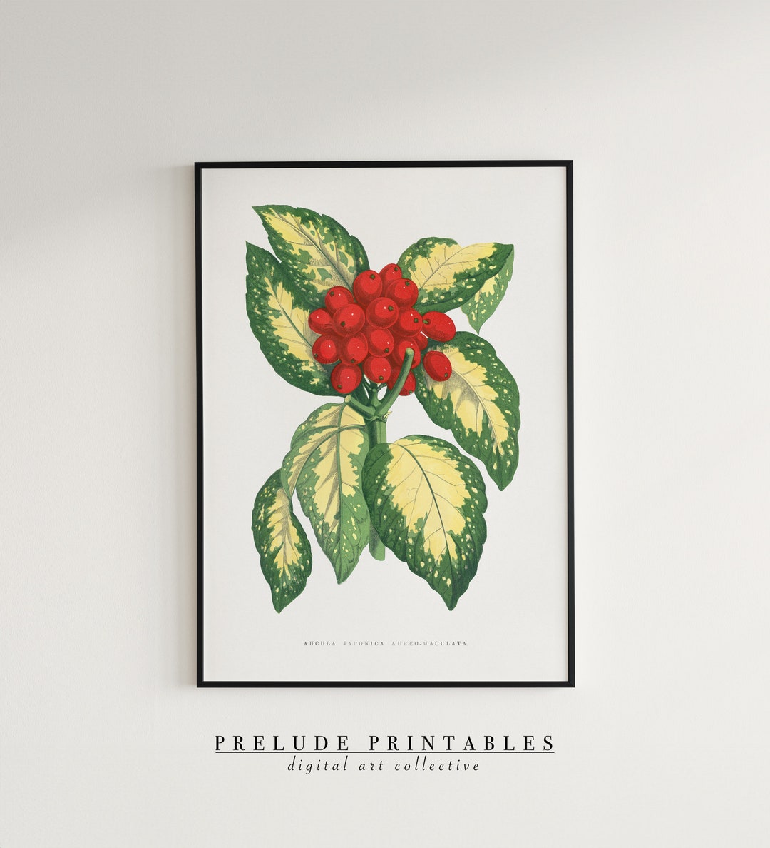 Printable Botanical Poster Edward Joseph Lowe Illustration Digital ...