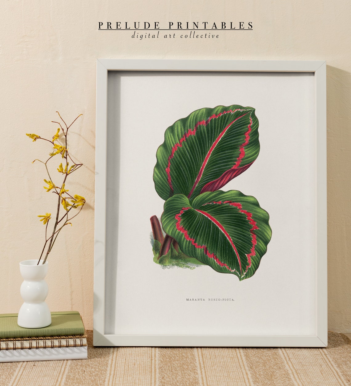 Printable Botanical Poster Edward Joseph Lowe Illustration Digital ...