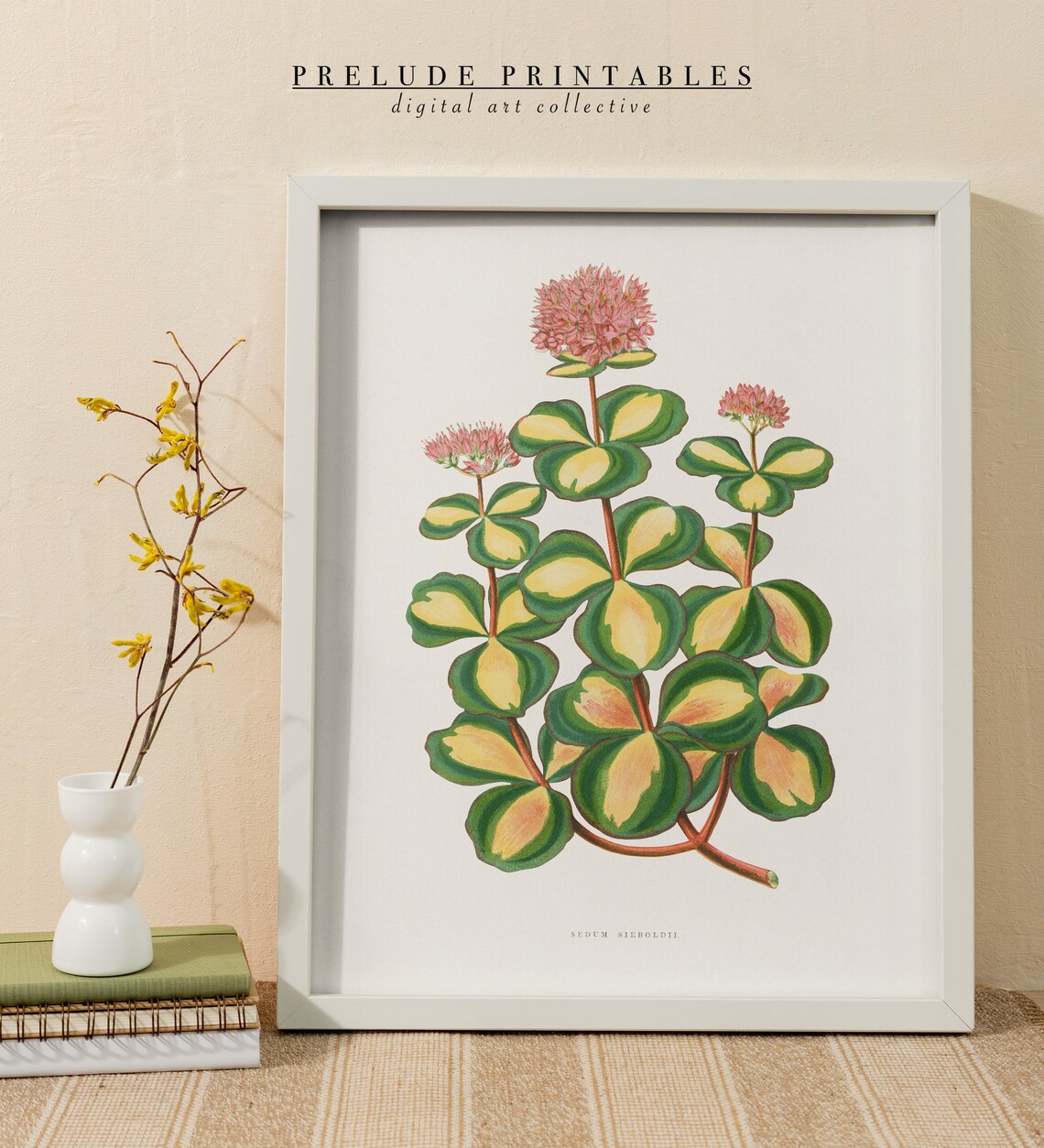 Printable Botanical Poster Edward Joseph Lowe Illustration Digital ...