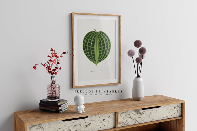 Printable Botanical Poster Edward Joseph Lowe Illustration Digital Prints Download Downloadable ...