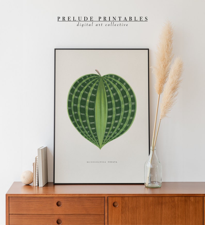 Printable Botanical Poster Edward Joseph Lowe Illustration Digital Prints Download Downloadable ...