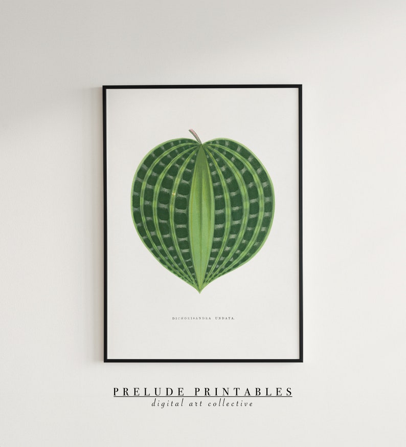 Printable Botanical Poster Edward Joseph Lowe Illustration Digital Prints Download Downloadable ...