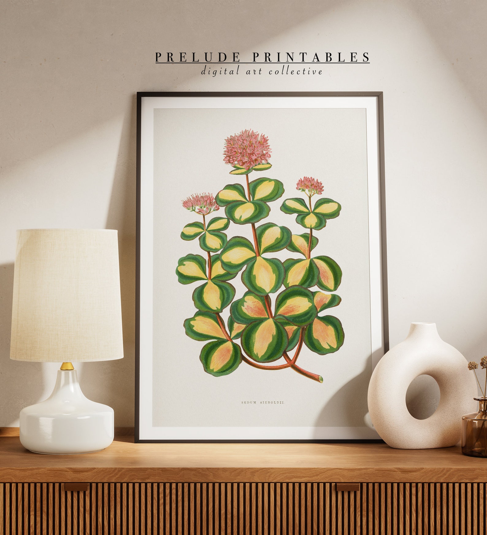 Printable Botanical Poster Edward Joseph Lowe Illustration Digital ...