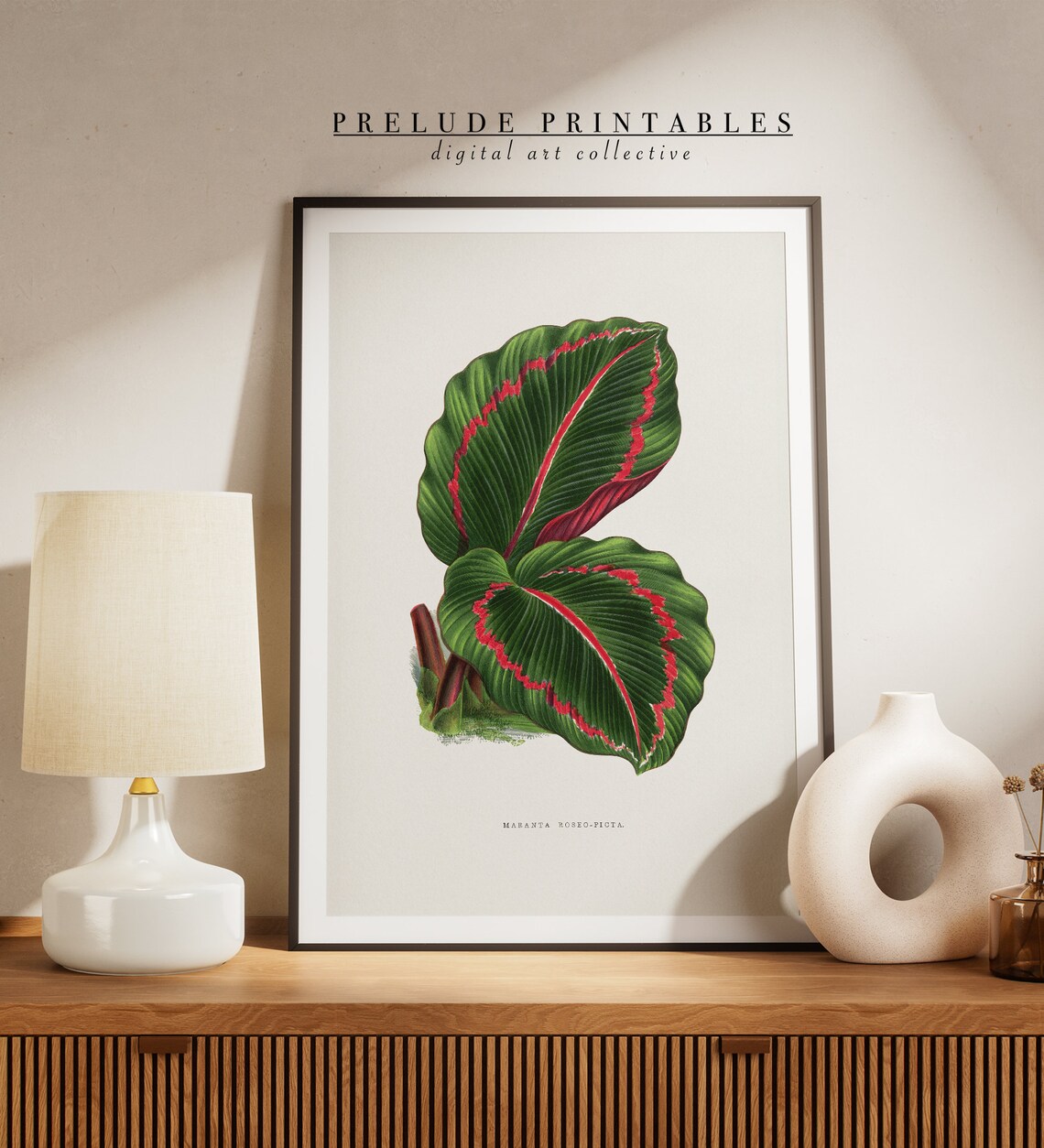 Printable Botanical Poster Edward Joseph Lowe Illustration Digital ...