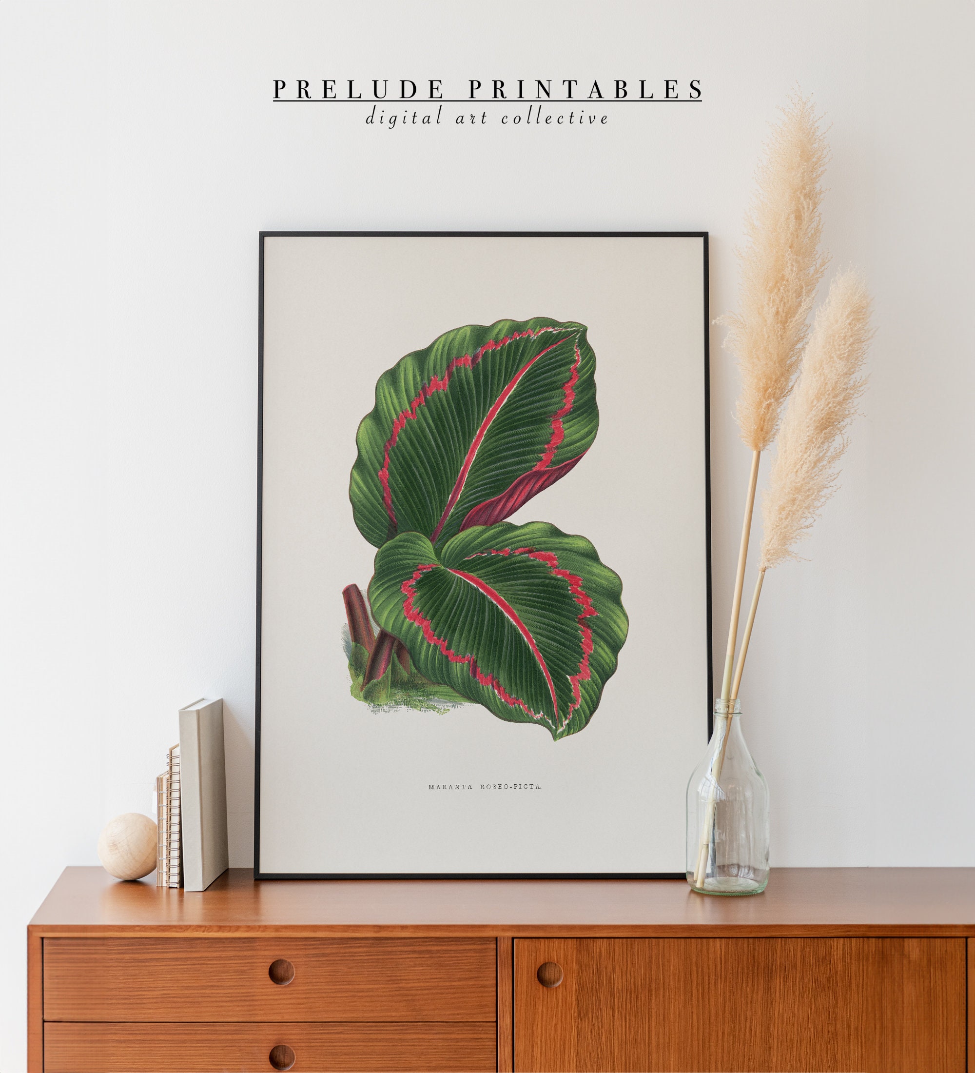 Printable Botanical Poster Edward Joseph Lowe Illustration Digital ...
