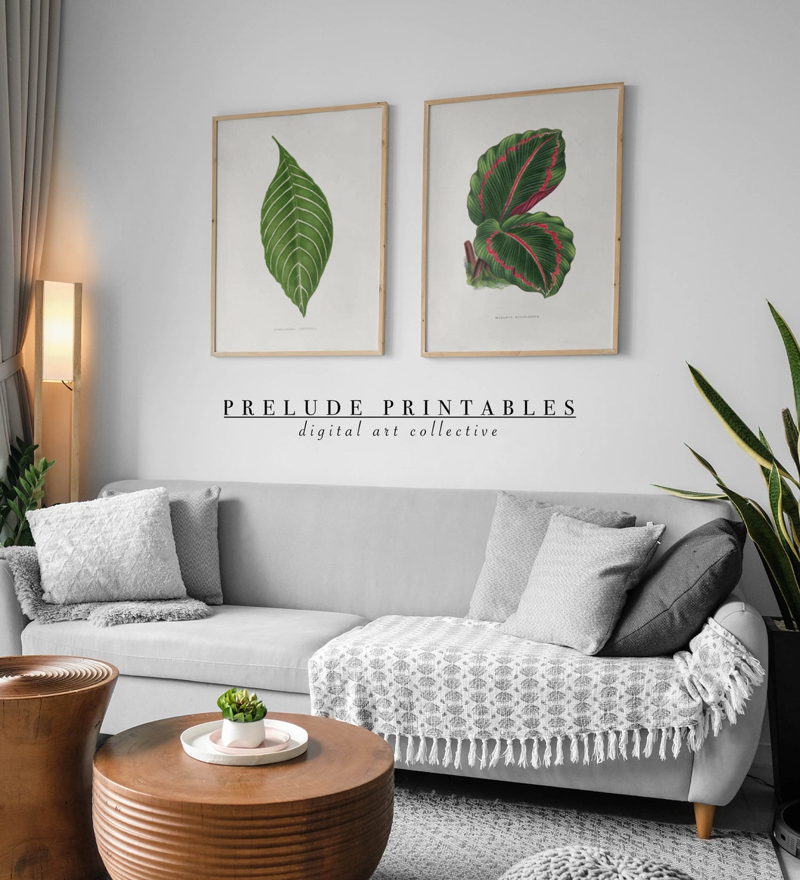 Printable Botanical Poster Edward Joseph Lowe Illustration Digital ...