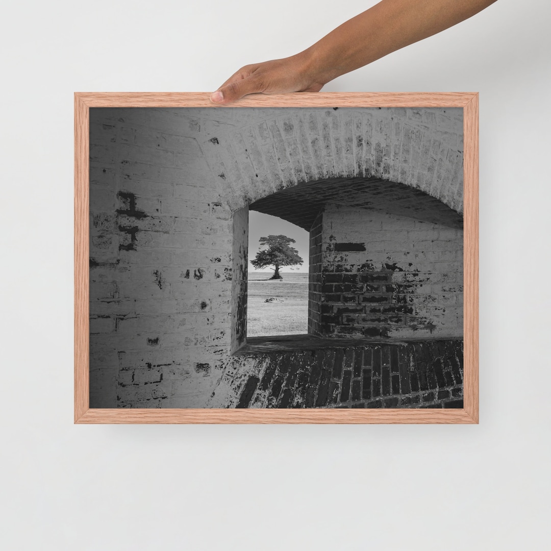 Low Country Tree Framed Print Fort Moultrie National Historical Park ...