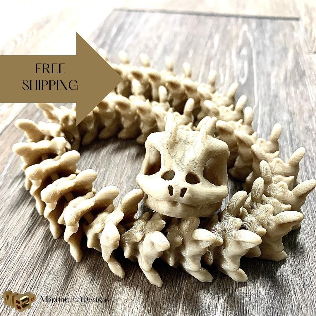 Snake Skeleton, Articulated, Flexible, Jointed Skeleton, Birthday Gift ...