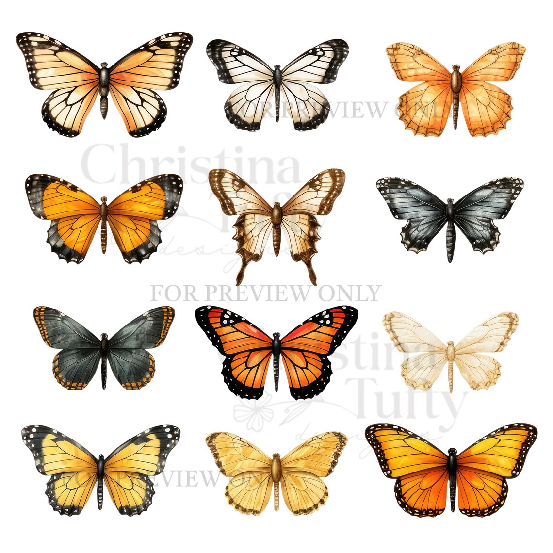 Butterfly Clip Art, Cabbage Moth Art, Butterflies PNG, Spring Summer ...