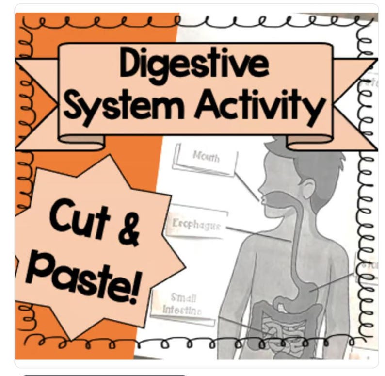 Digestive System Activity {cut & Paste!} - Etsy