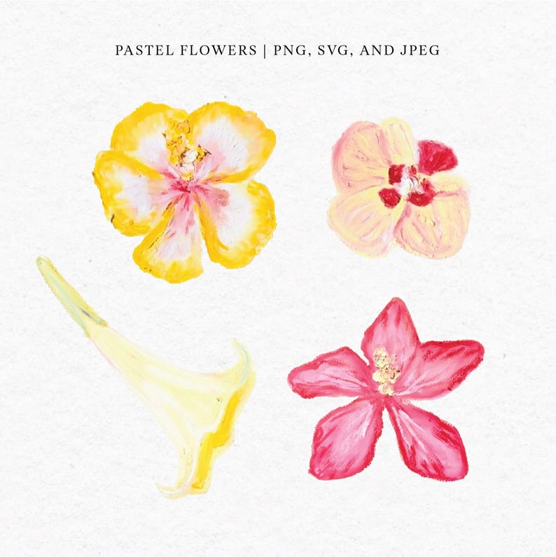 Pastel Flowers Clipart, Flowers PNG SVG, Summer Hawaiian Palm Leave ...