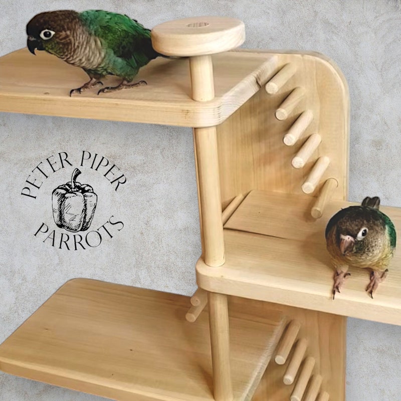 Bird Stand - Etsy