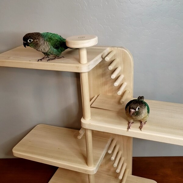 Bird Stand - Etsy